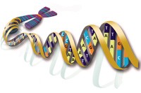 DNA-wo-bracket - Medical Forum