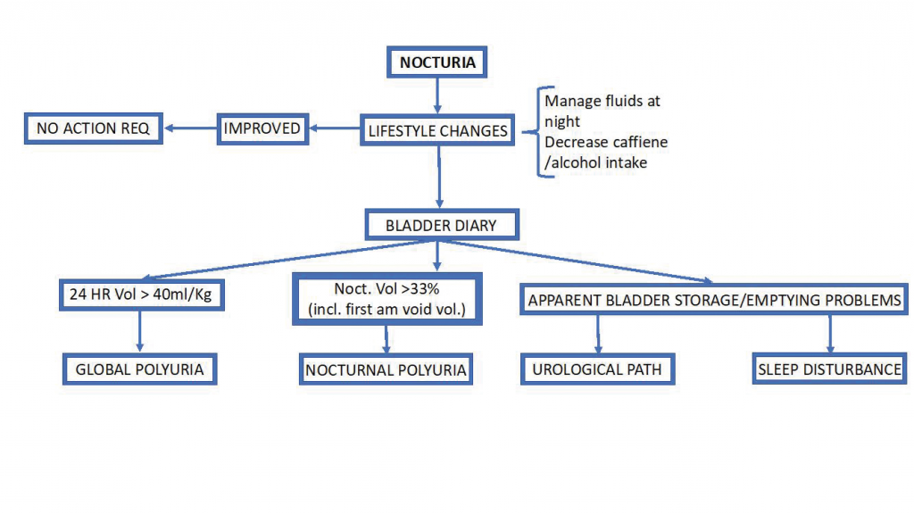 Pathological nocturia - Medical Forum