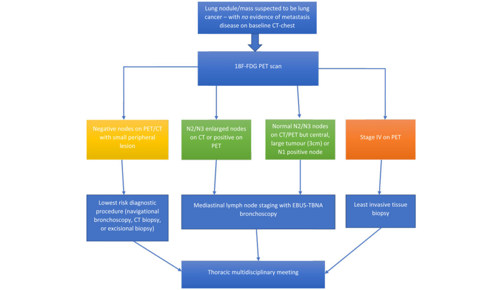 medical-forum-clinical-article-september-2020-Lung-cancer-flow-chart ...