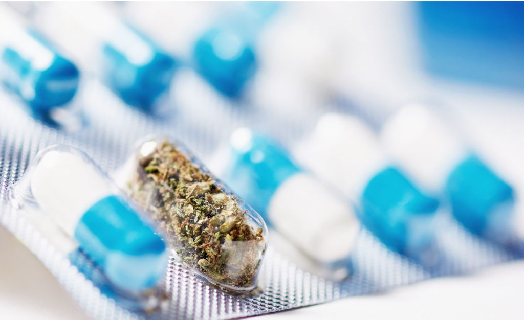 Medicinal cannabis in managing musculoskeletal pain - Medical Forum