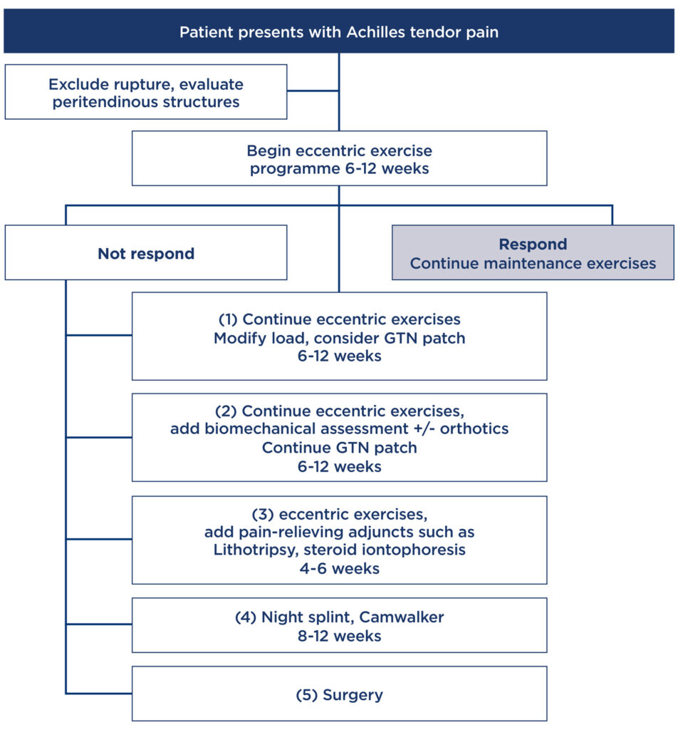 Treatment Algorithm for Chronic Achilles Tendinopathy - Medical Forum