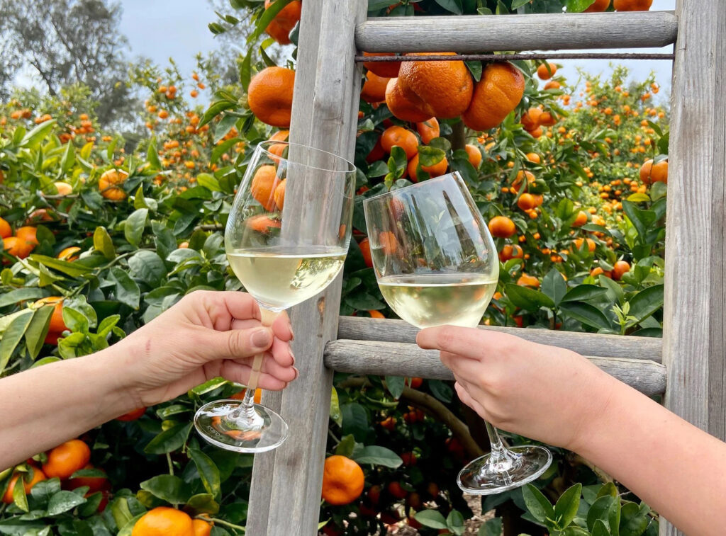 Event: A Taste of Chittering festival - Medical Forum