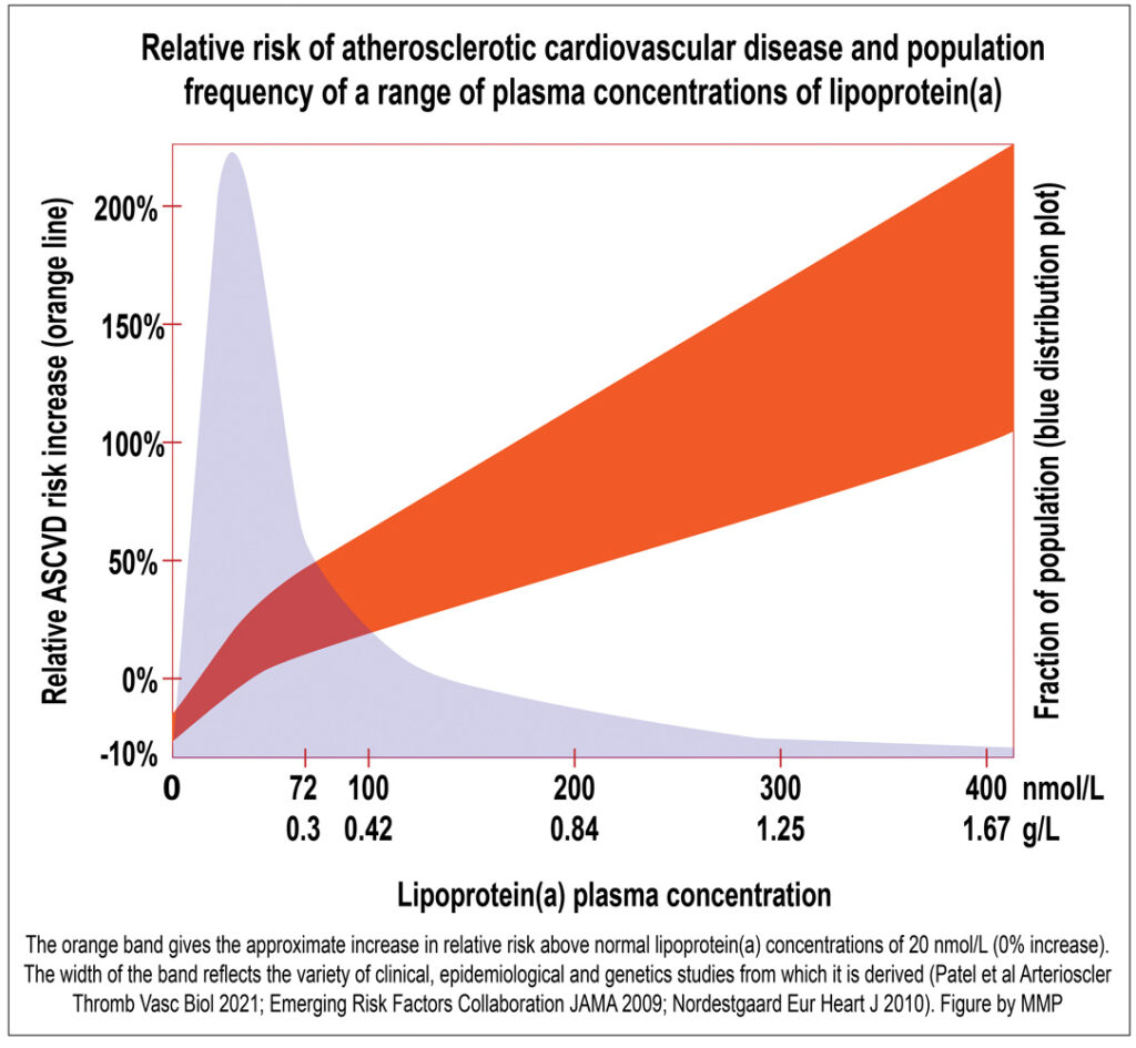 Lipoprotein(a) for cardiovascular risk assessment - Medical Forum