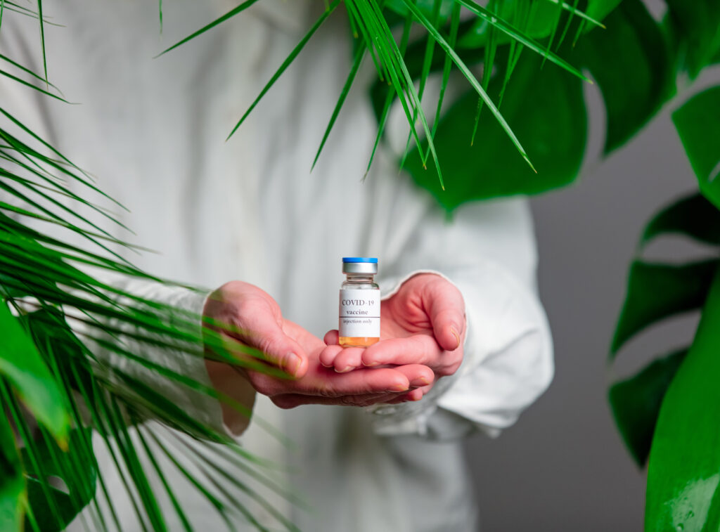 COVID vaccine grown in Australian native plant - Medical Forum