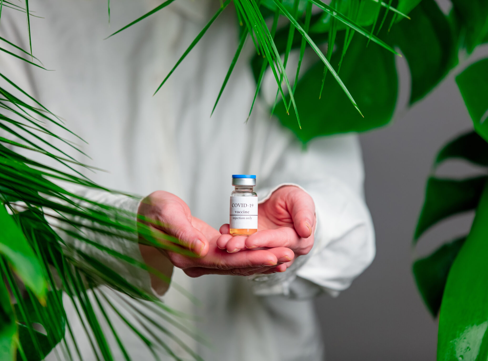 COVID vaccine grown in Australian native plant - Medical Forum