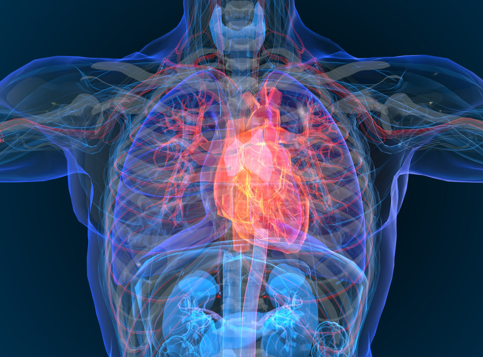 Meth-related heart failure rising - Medical Forum