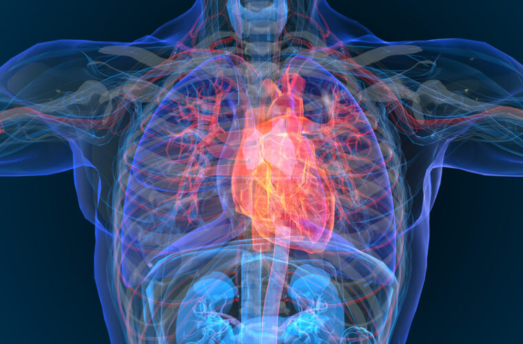 Meth-related heart failure rising - Medical Forum