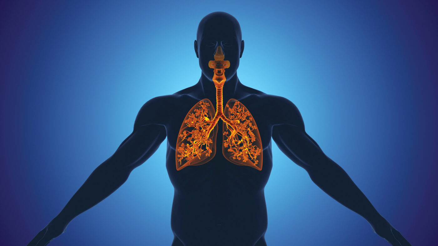 Unified airway disease: the role for ENT - Medical Forum