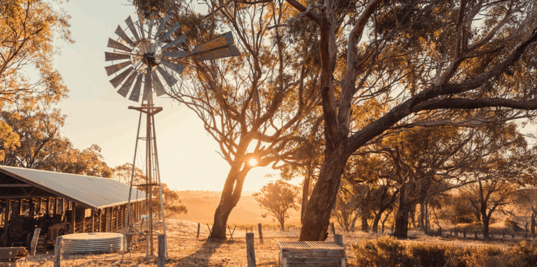 Supporting our rural GPs – the help they really need