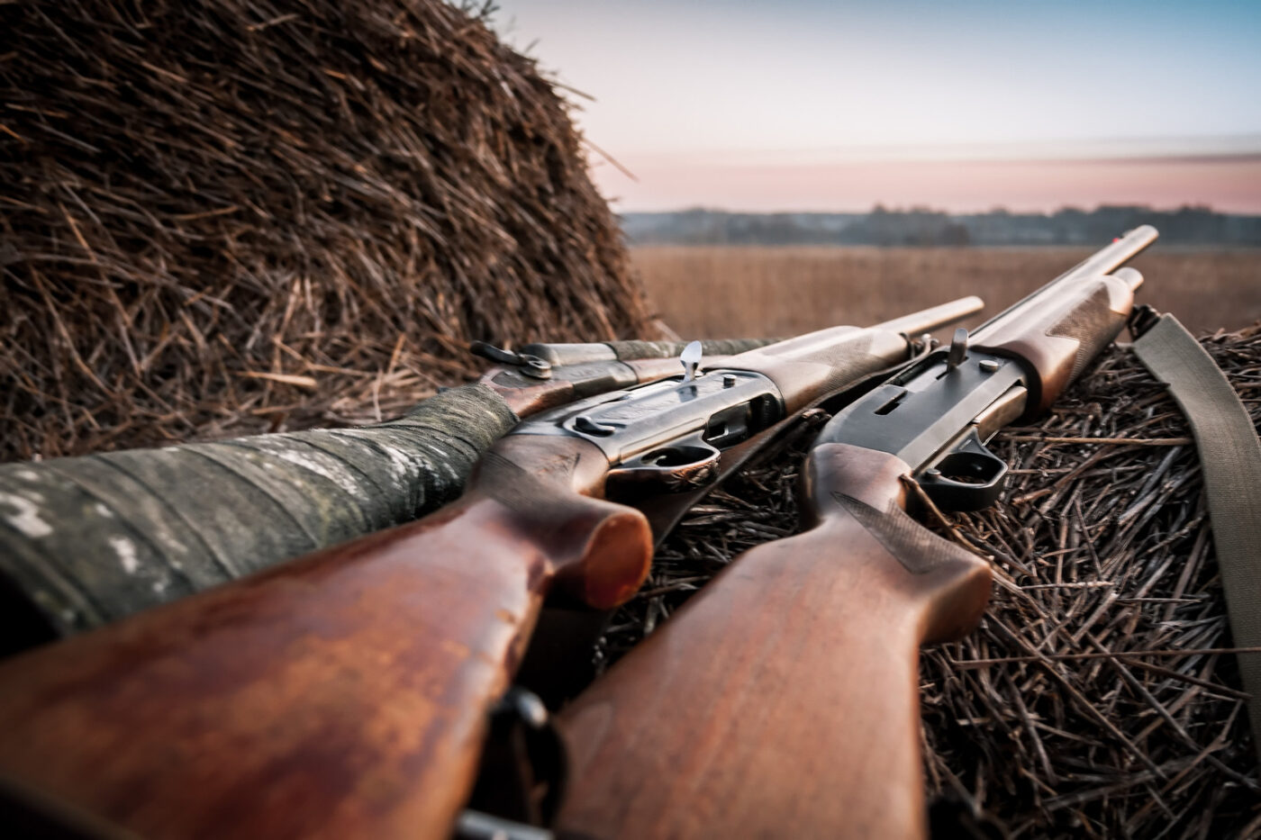 One year on from firearms health assessments in WA